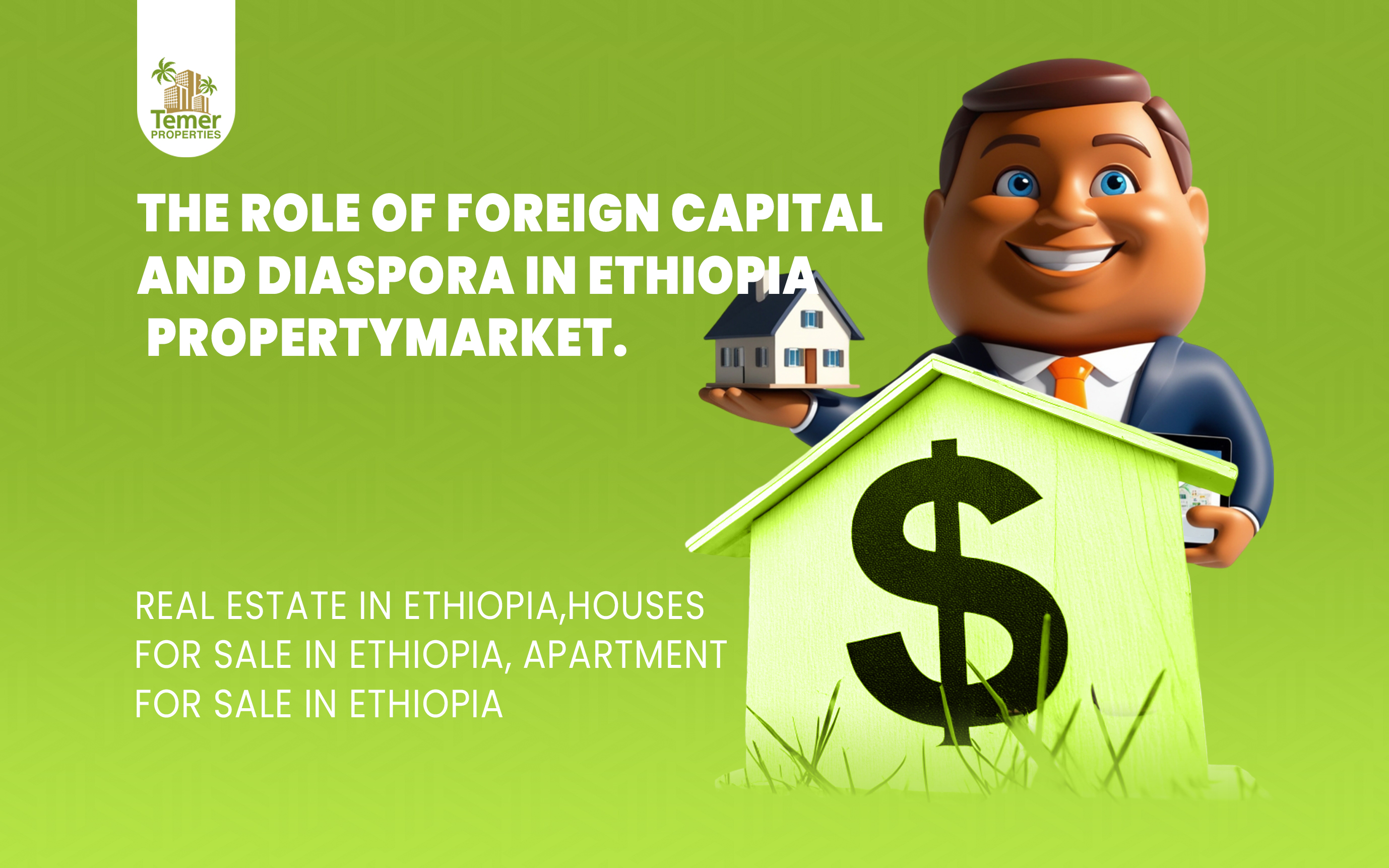 The Driving Force: How Diaspora and Foreign Capital Shape Ethiopia's ...